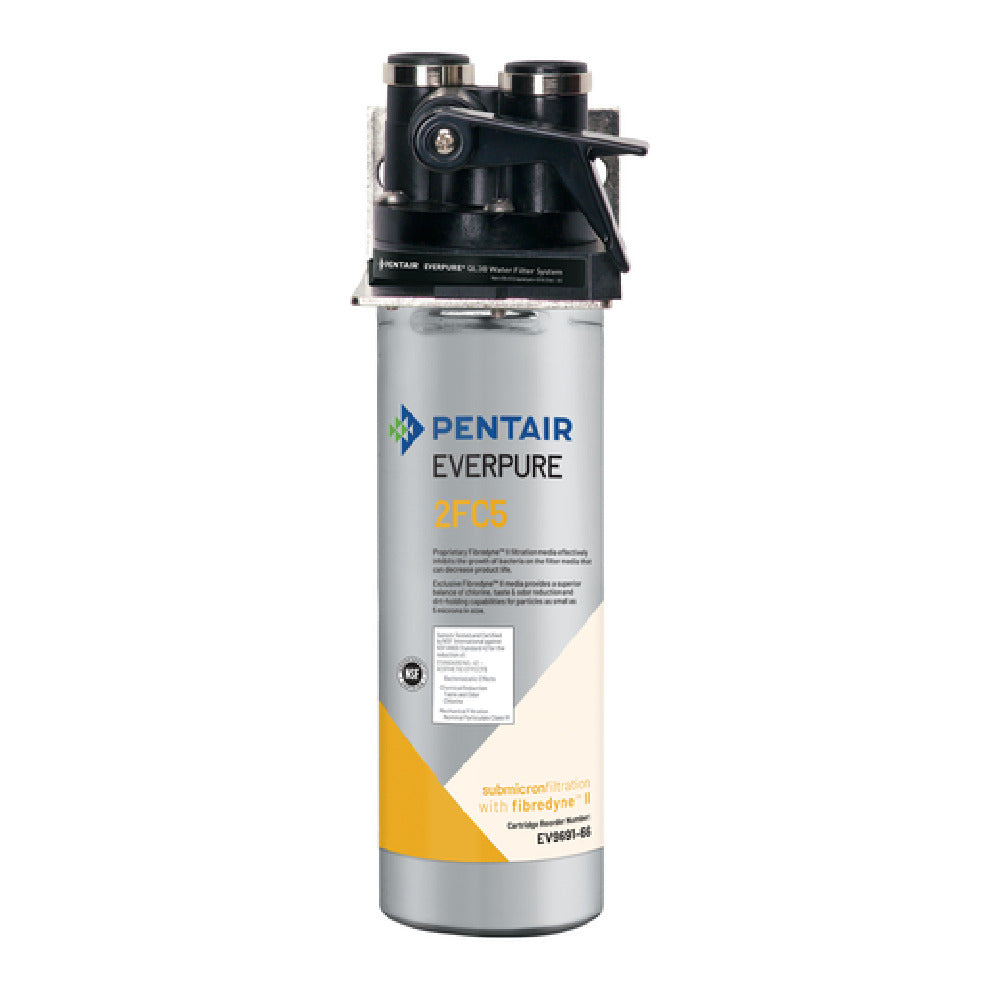 Everpure QL3B 2FC5 Water Filtration System – IceMachinesPlus.com