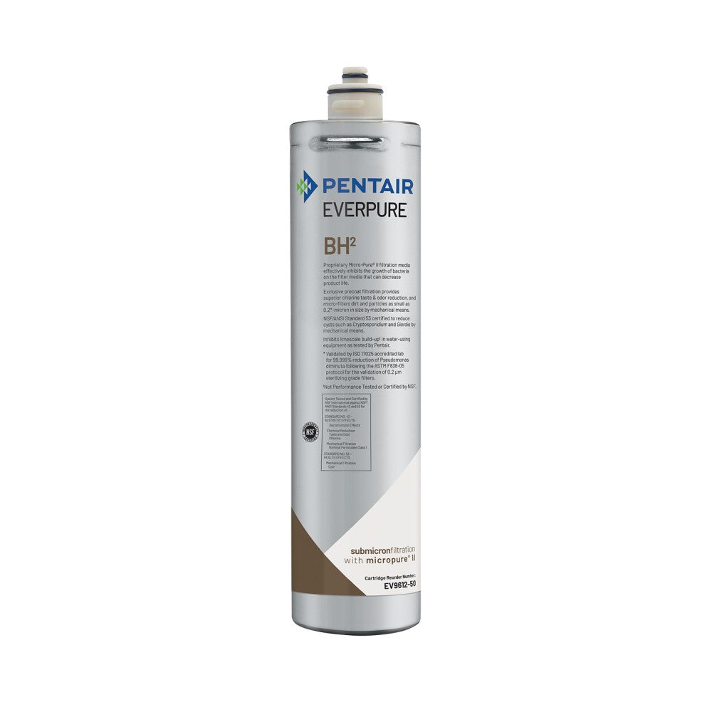 Everpure EV961251 Water Filter Cartridge - Buy Now – IceMachinesPlus.com