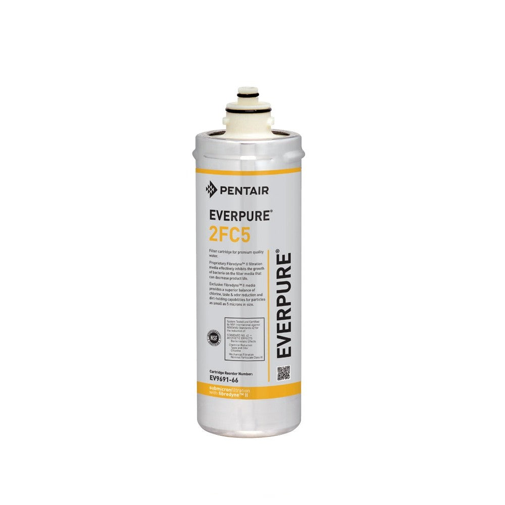 Everpure EV969166 2FC5 Water Filter Carbon Block – IceMachinesPlus.com